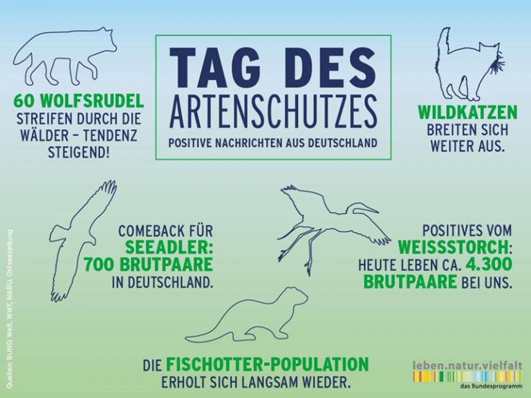 3. März – Internationaler Tag des Artenschutzes | SV-Bildungswerk e.V. 3. März – Internationaler Tag des Artenschutzes | SV-Bildungswerk e.V.